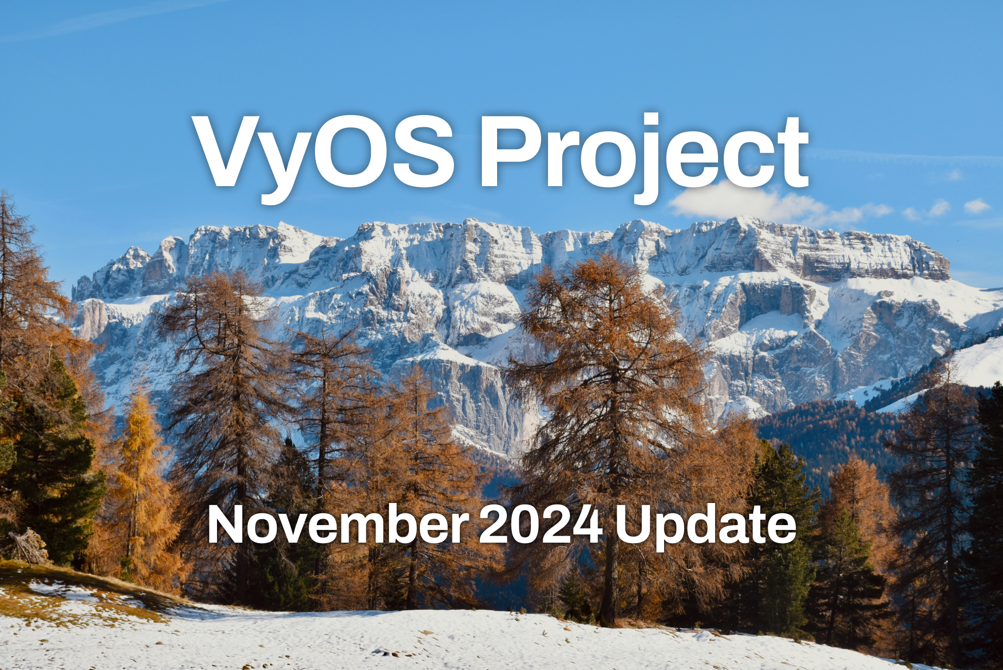 VyOS Project November 2024 Update